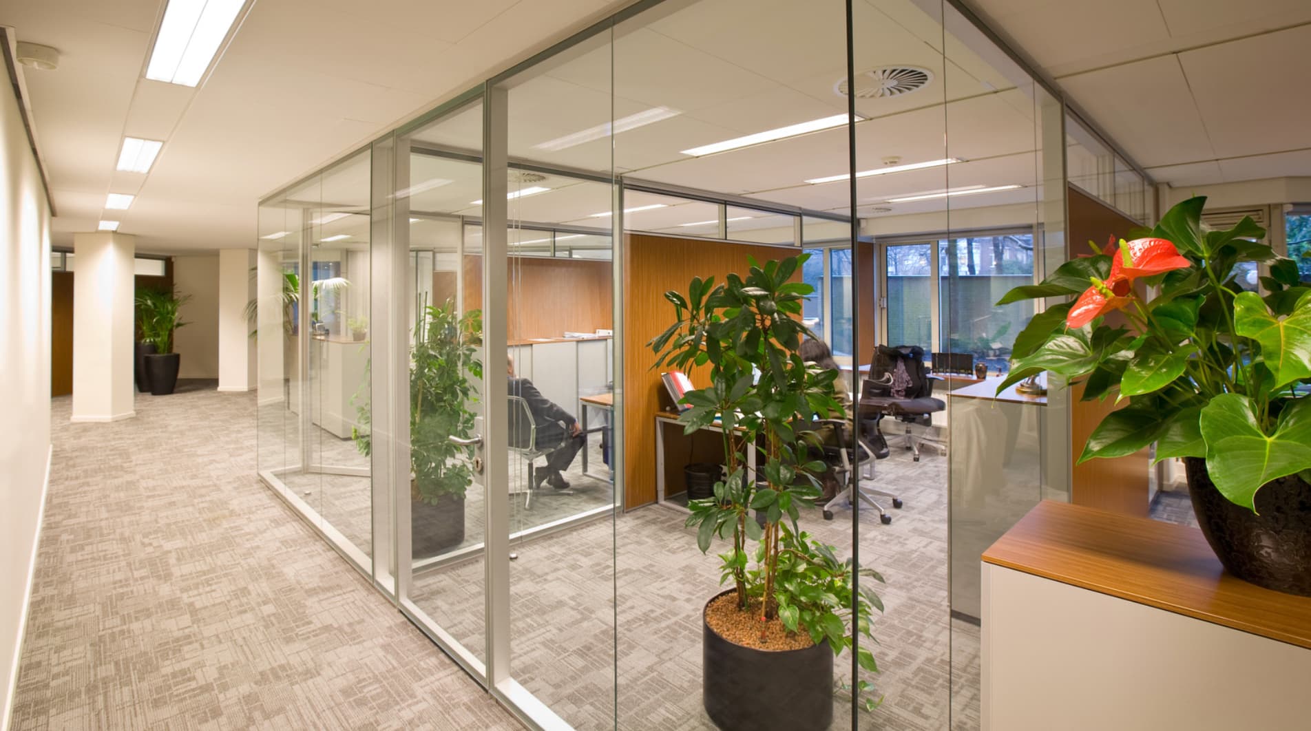 6 Types of Office Layouts: Engineer Them for Productivity